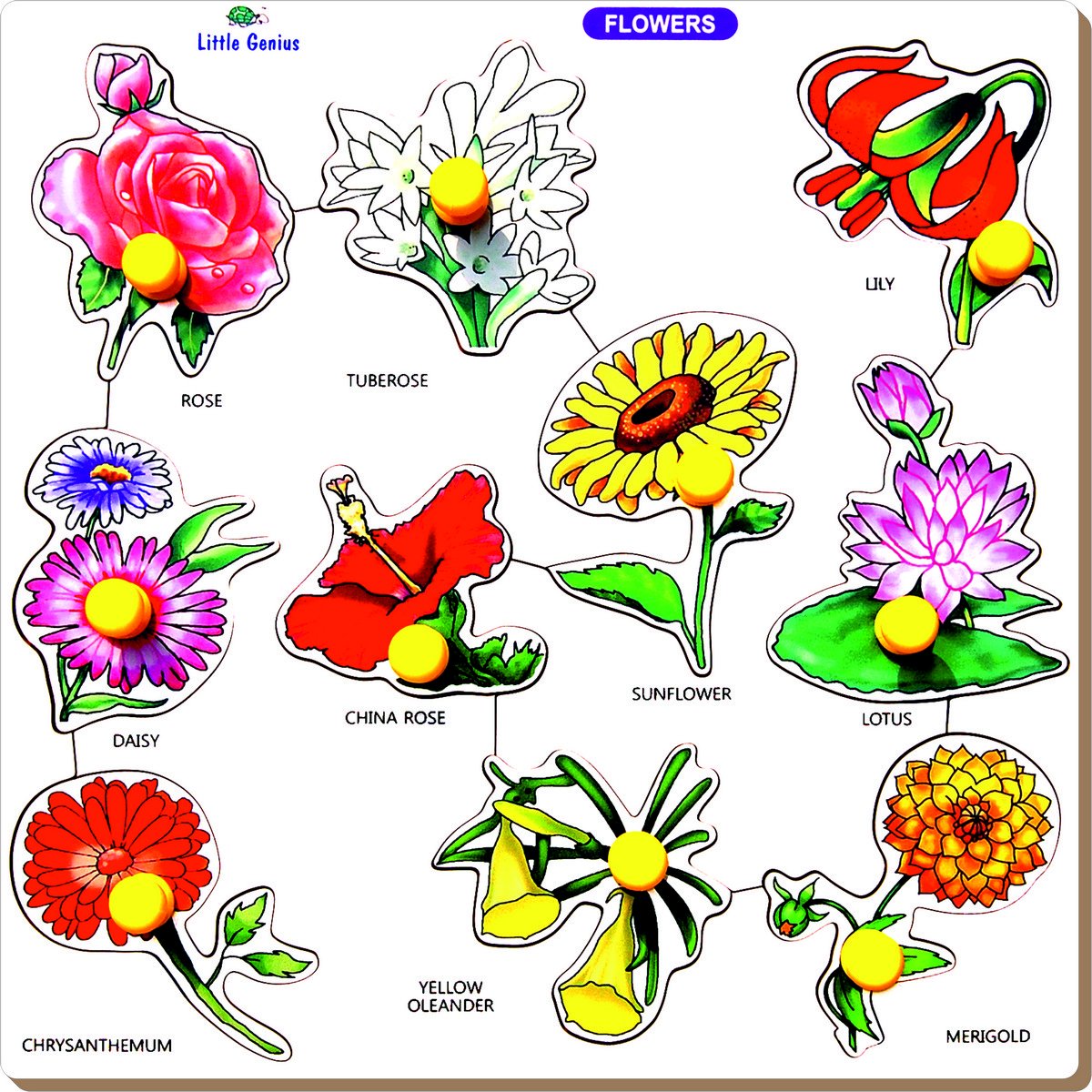 Little Genius Flower Tray with Big Knob (Large)| Intra Kids School Supplies